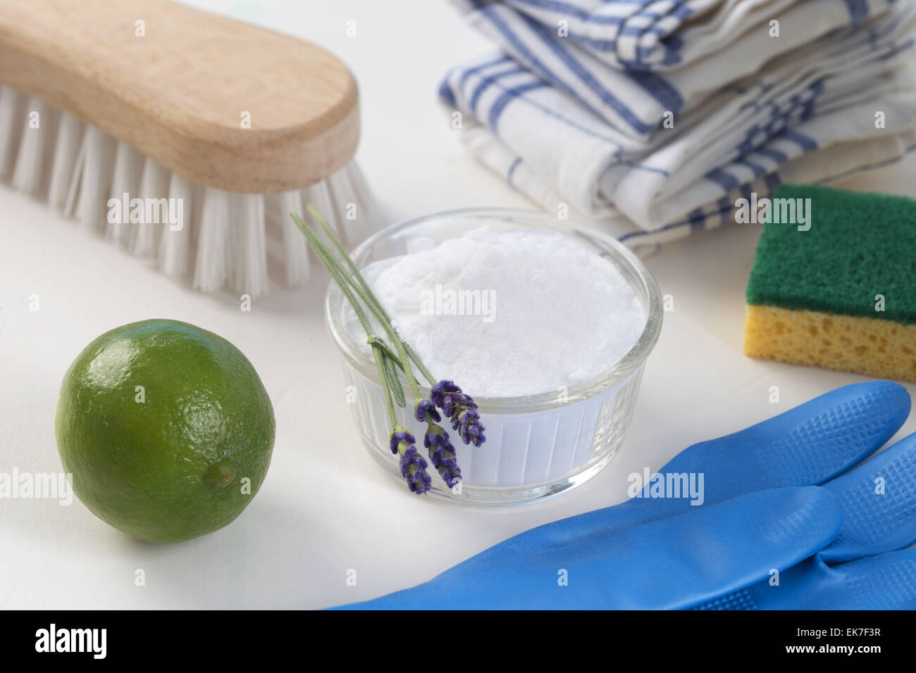 Rubber plant angiosperm hi-res stock photography and images - Alamy