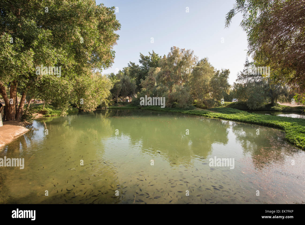 Water area outdoor park hi-res stock photography and images - Alamy