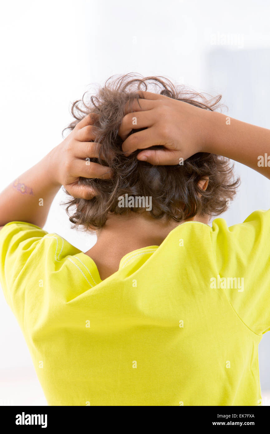 Phthiraptera hi-res stock photography and images - Alamy