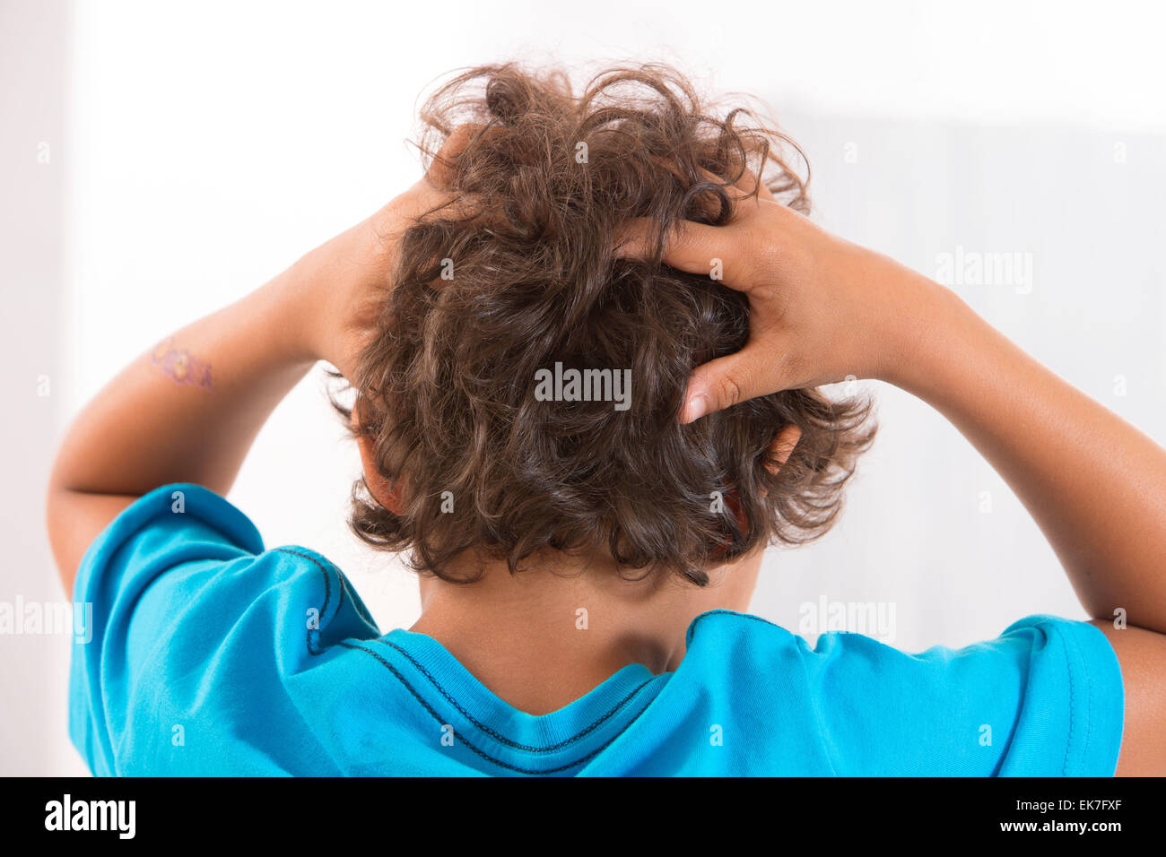 Phthiraptera Stock Photos & Phthiraptera Stock Images - Alamy