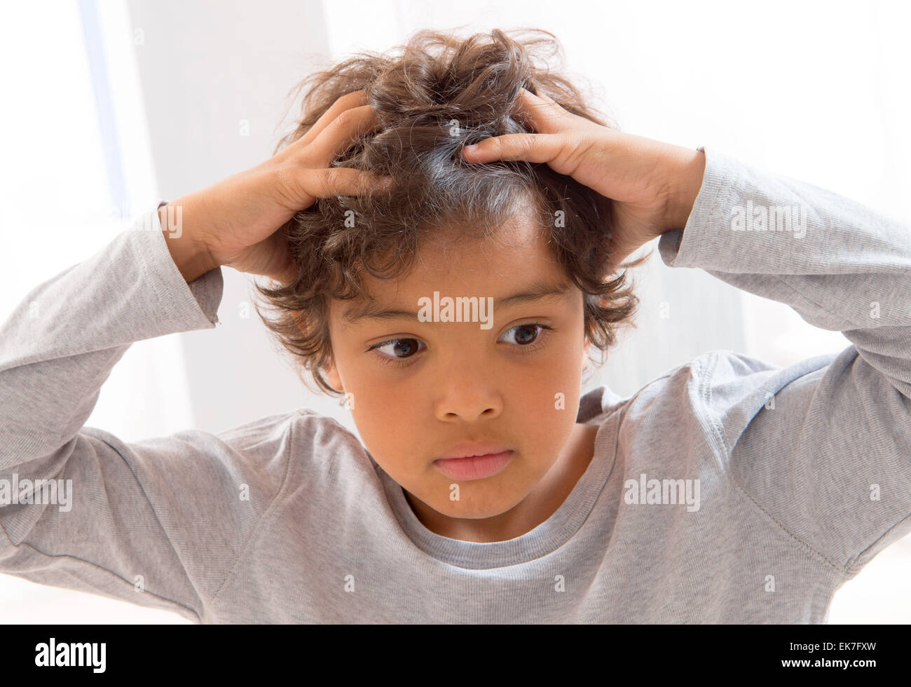 Phthiraptera hi-res stock photography and images - Alamy