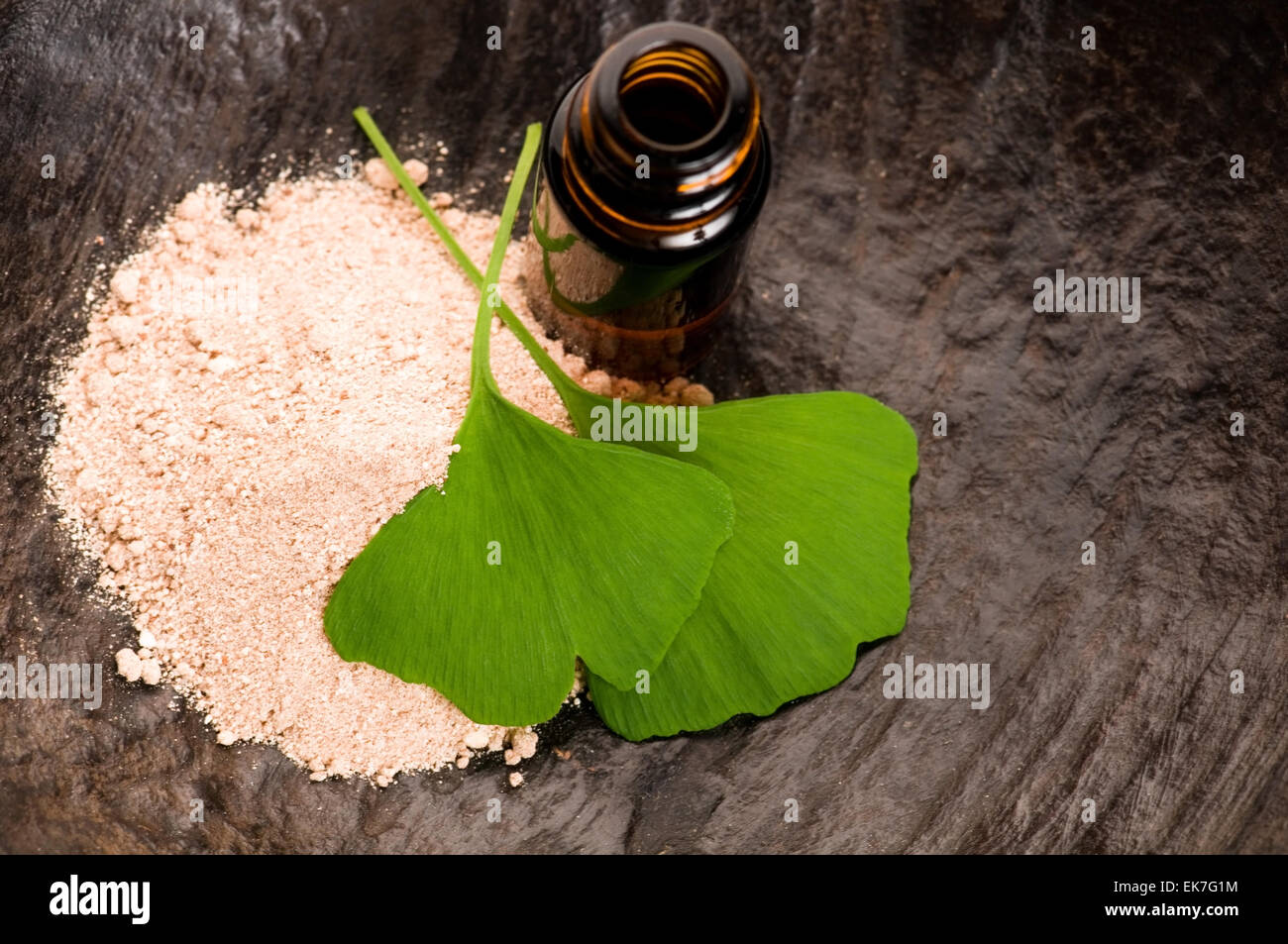 fresh leaves ginko biloba essential oil and powder - beauty trea Stock ...