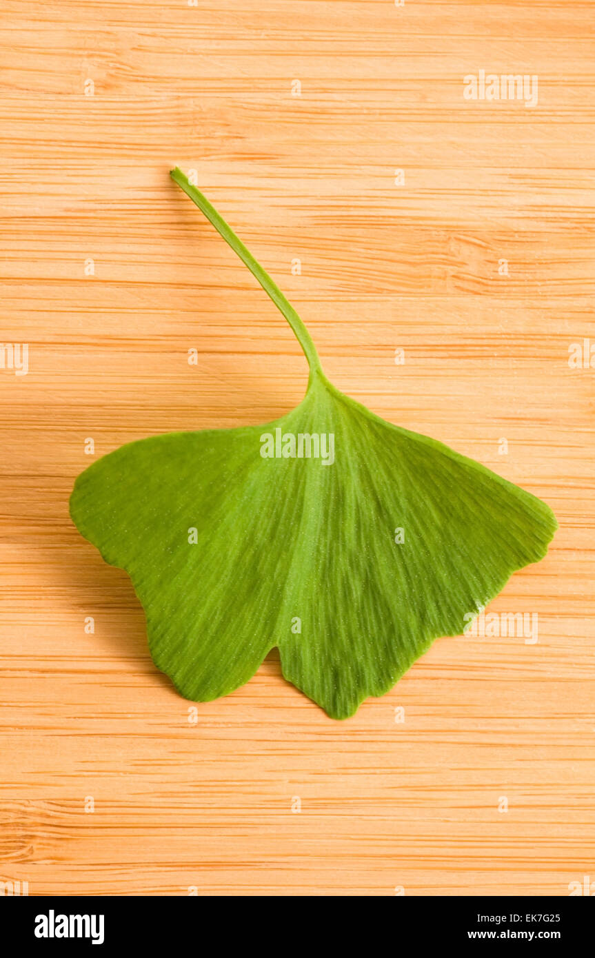 Fresh Leaves Ginkgo On The Wood Stock Photo - Alamy
