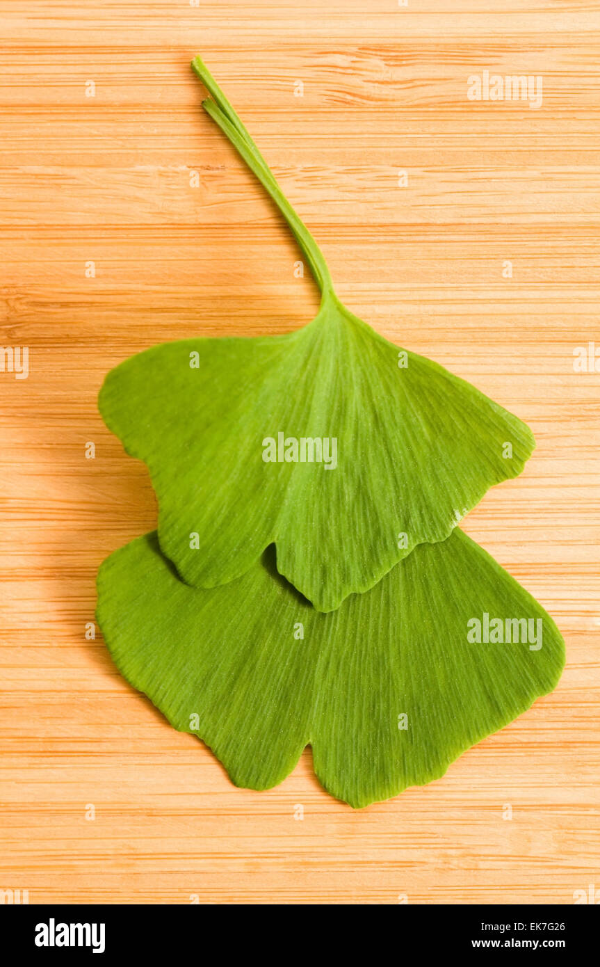 Fresh Leaves Ginkgo On The Wood Stock Photo - Alamy