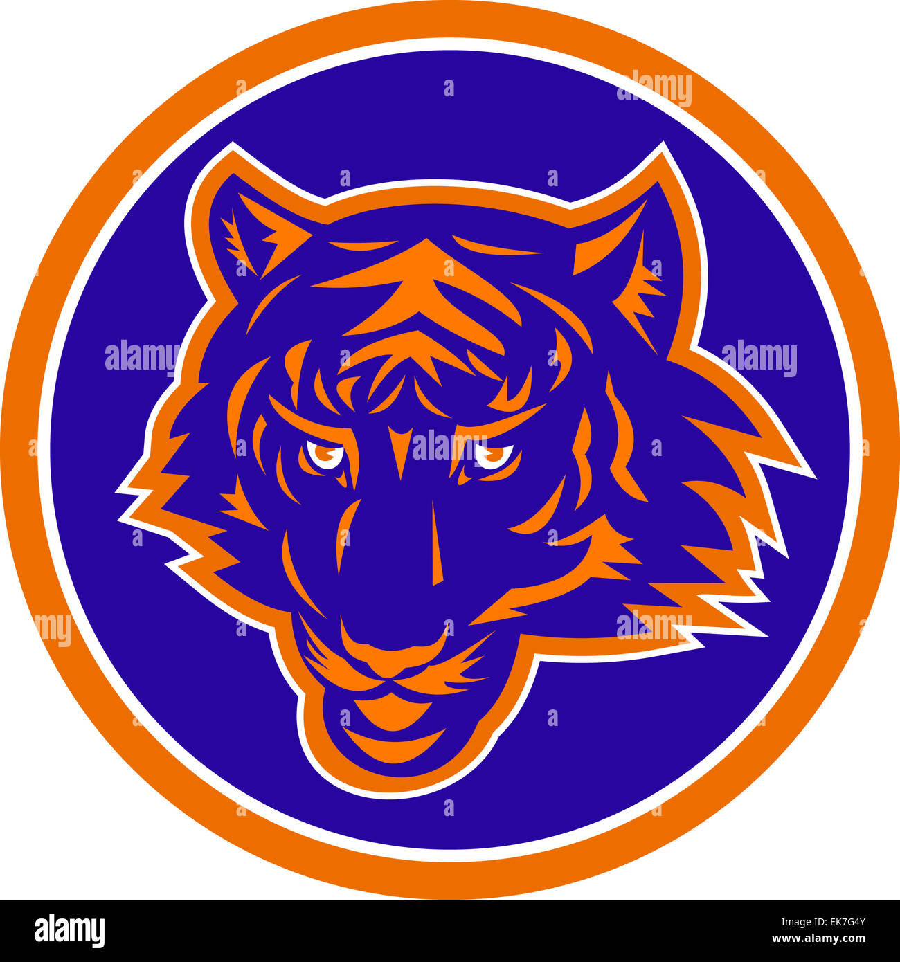 head of tiger Stock Photo - Alamy