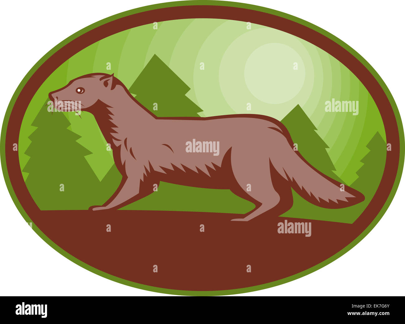 european mink side view Stock Photo - Alamy