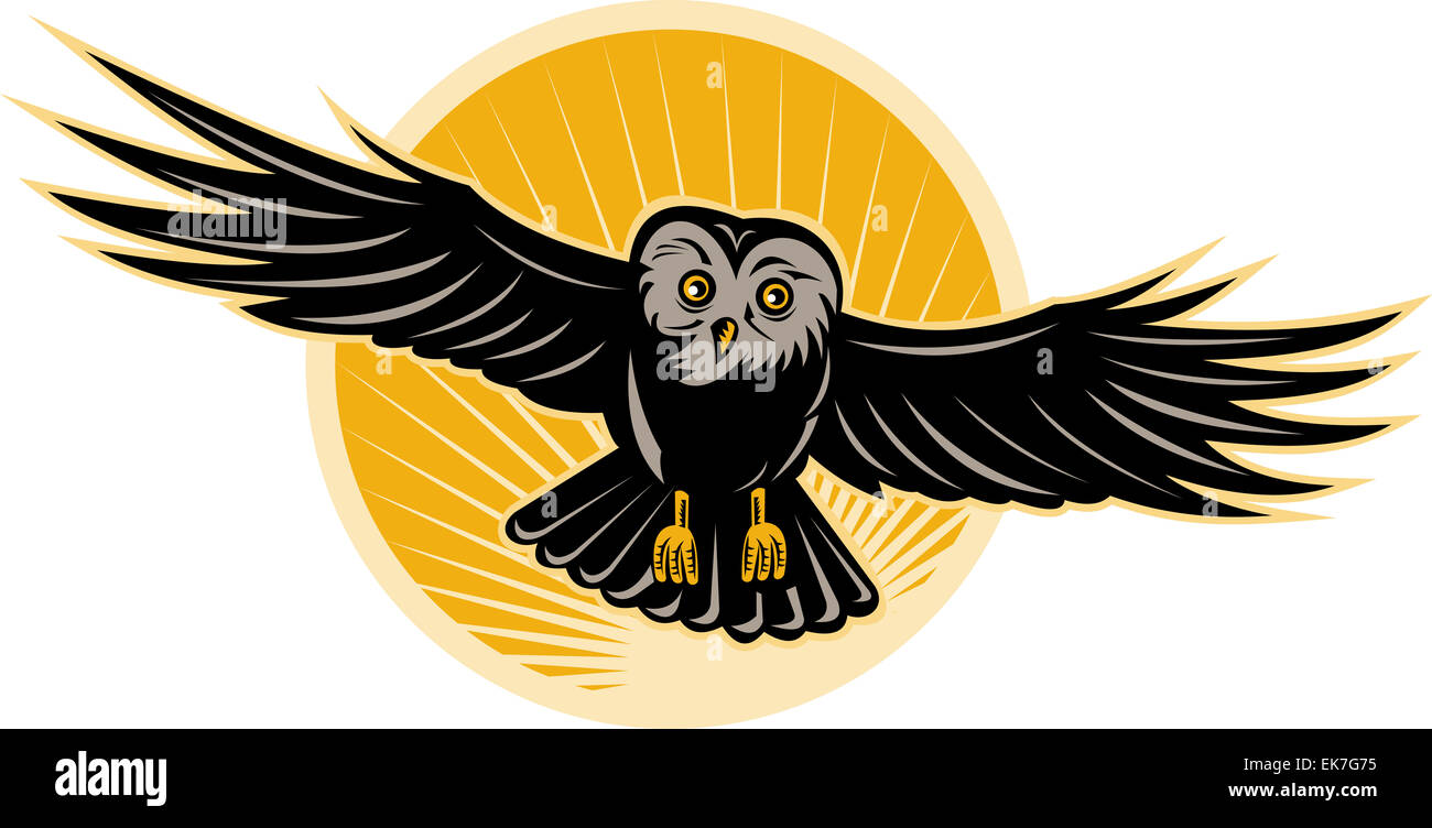 owl swooping down Stock Photo - Alamy