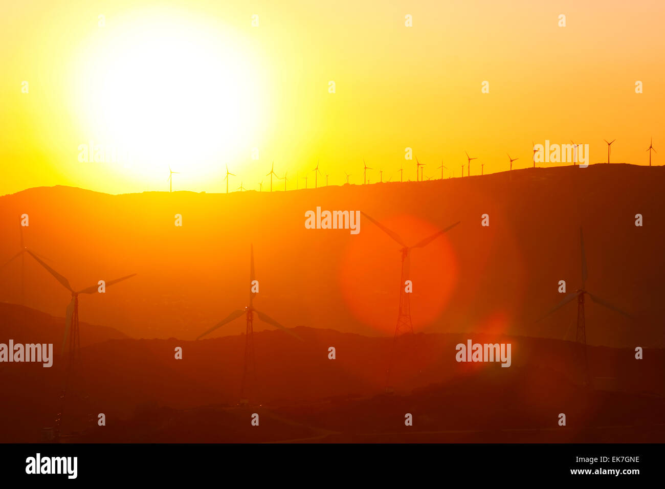 Wind farm in sunset Stock Photo - Alamy