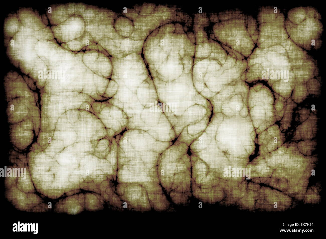 Tissue regeneration hi-res stock photography and images - Alamy