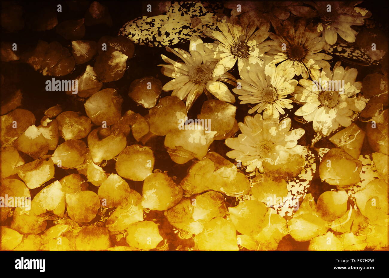 Innocence floral wallpaper hi-res stock photography and images - Alamy