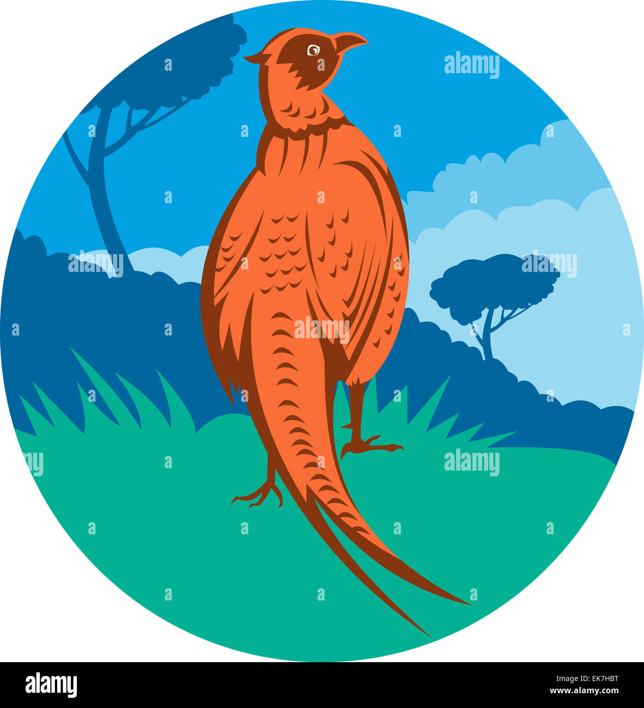 Pheasant bird walking with tree Stock Photo - Alamy