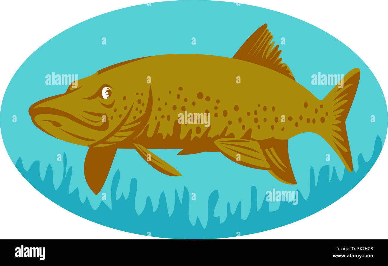 Muskie Fish Clipart