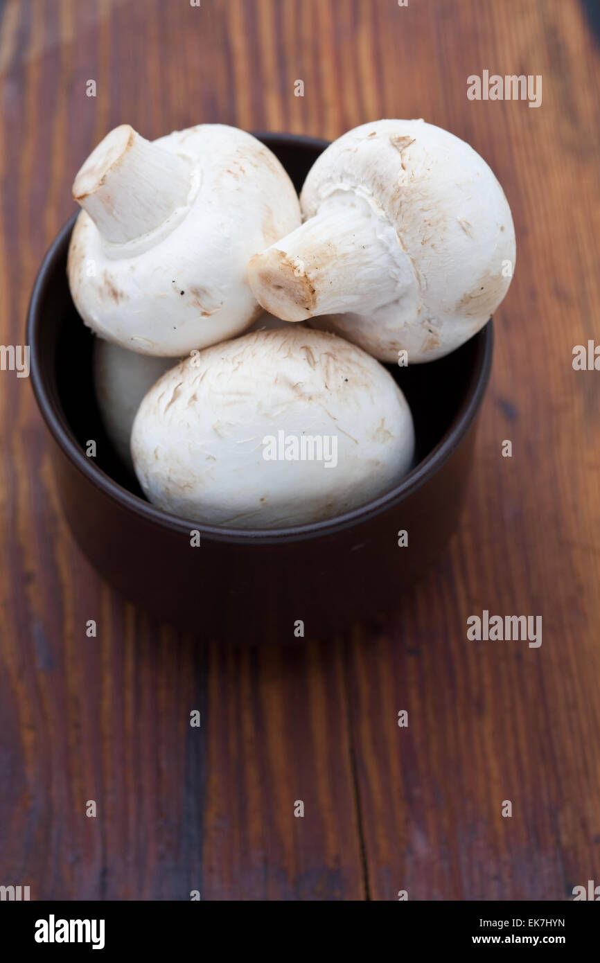 Brown button mushroom agaricus hi-res stock photography and images - Alamy