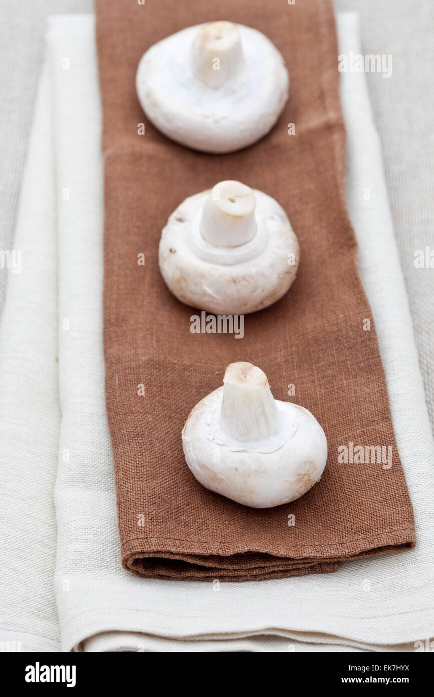Brown button mushroom agaricus hi-res stock photography and images - Alamy