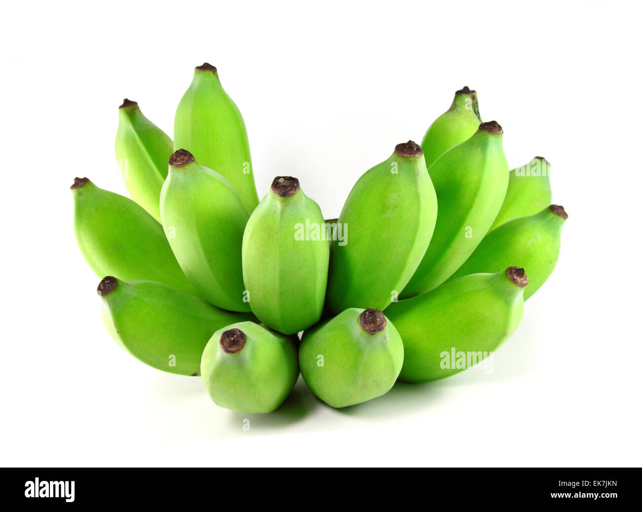 Small banana plantation hi-res stock photography and images - Alamy