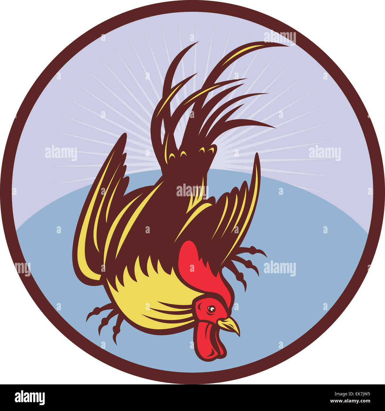 Rooster cockerel cock chicken Stock Photo - Alamy