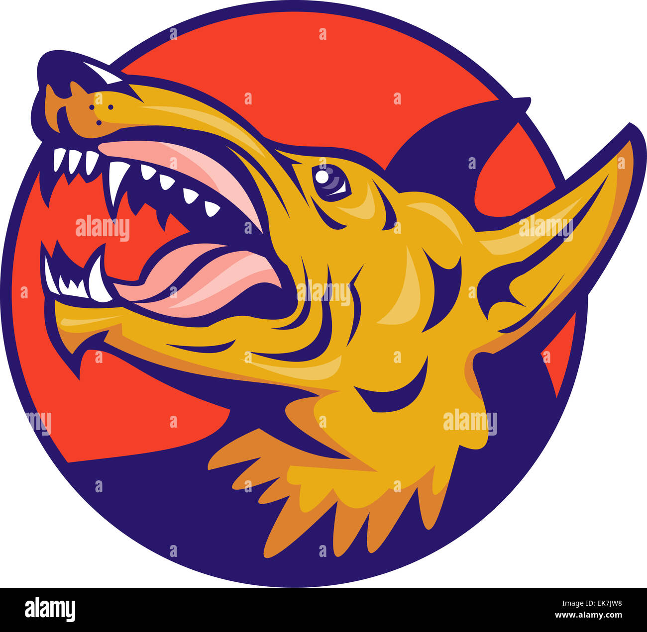 Angry dog fangs hi-res stock photography and images - Alamy