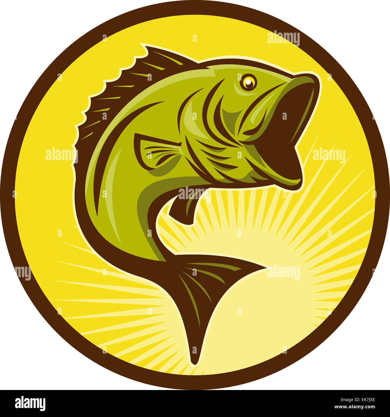 Largemouth bass jumping fish hi-res stock photography and images - Alamy