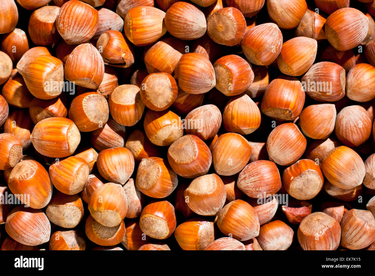 Fat hazel hi-res stock photography and images - Alamy