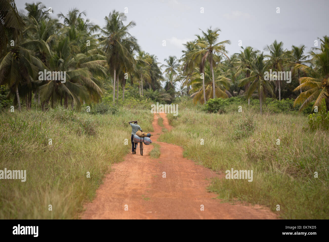 Ivory coast road hi-res stock photography and images - Alamy