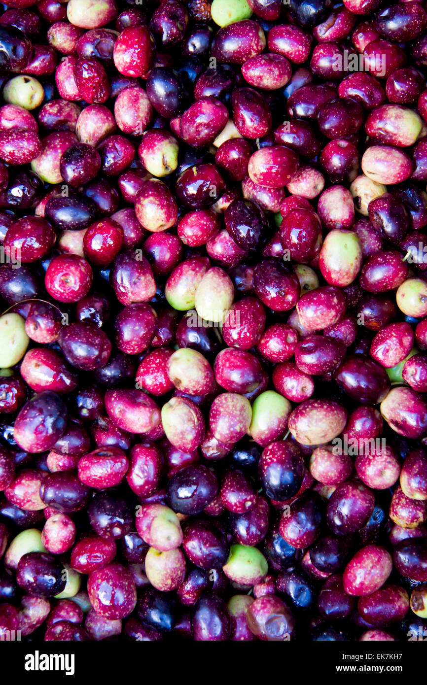Olives market italy hi-res stock photography and images - Alamy