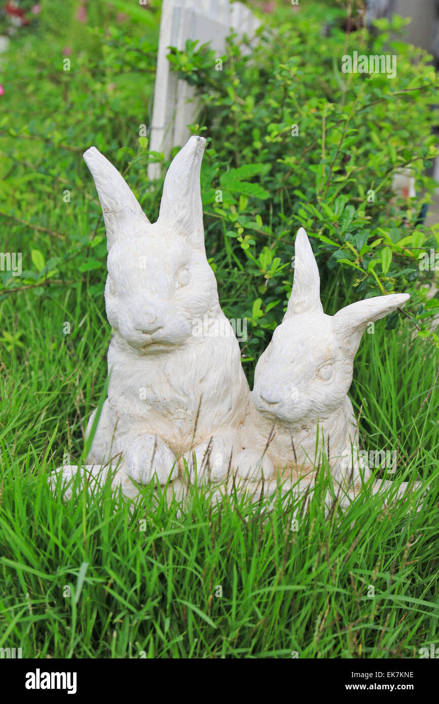 Rabbit bush hi-res stock photography and images - Alamy