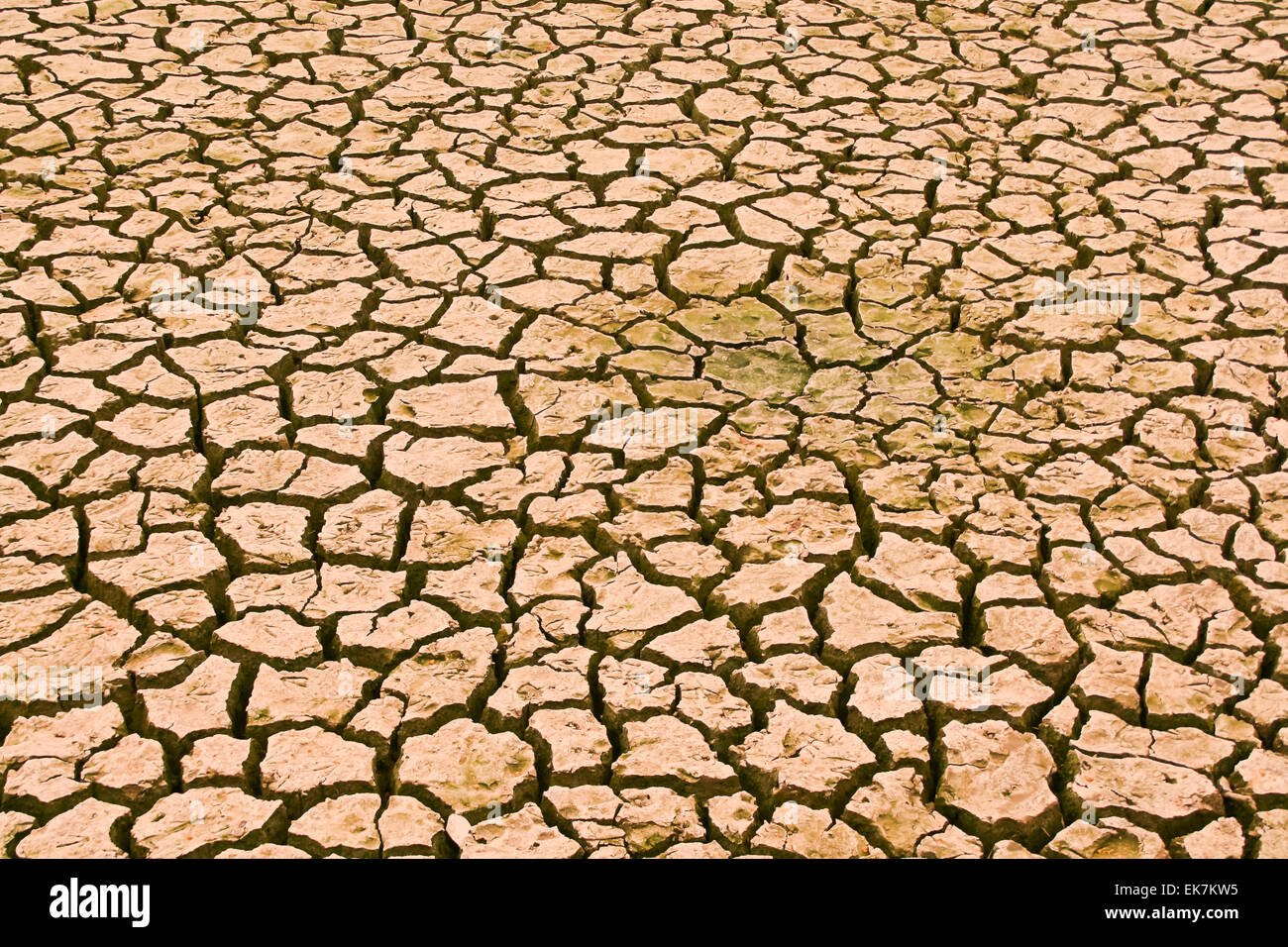 Split shot soil hi-res stock photography and images - Alamy
