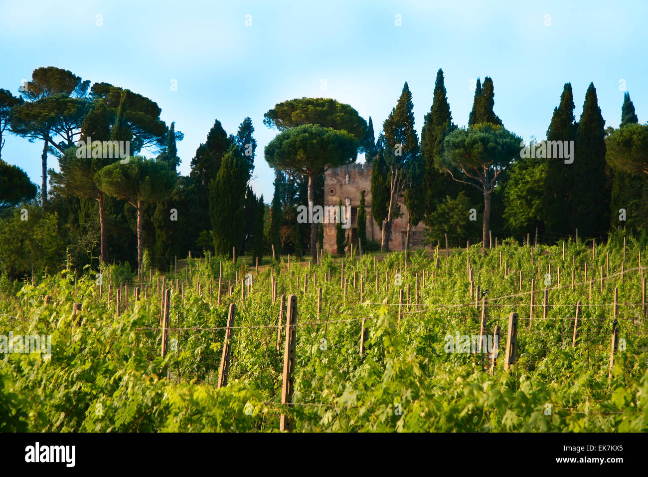 Tuscany in germany hi-res stock photography and images - Alamy