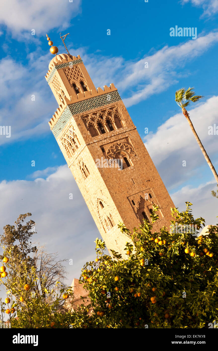 Orange tree fruit morocco hi-res stock photography and images - Alamy