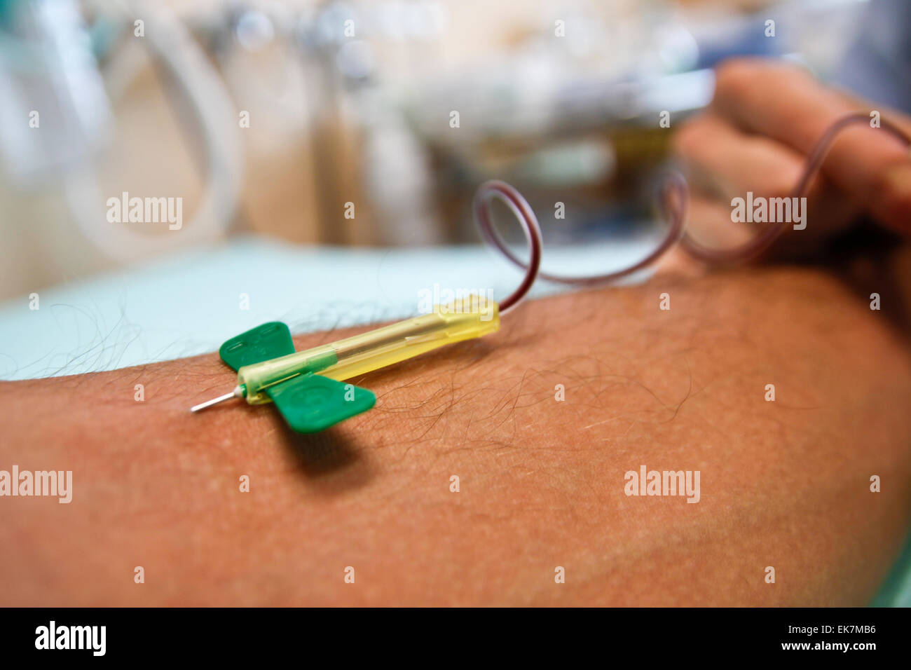 Extracting blood hi-res stock photography and images - Alamy