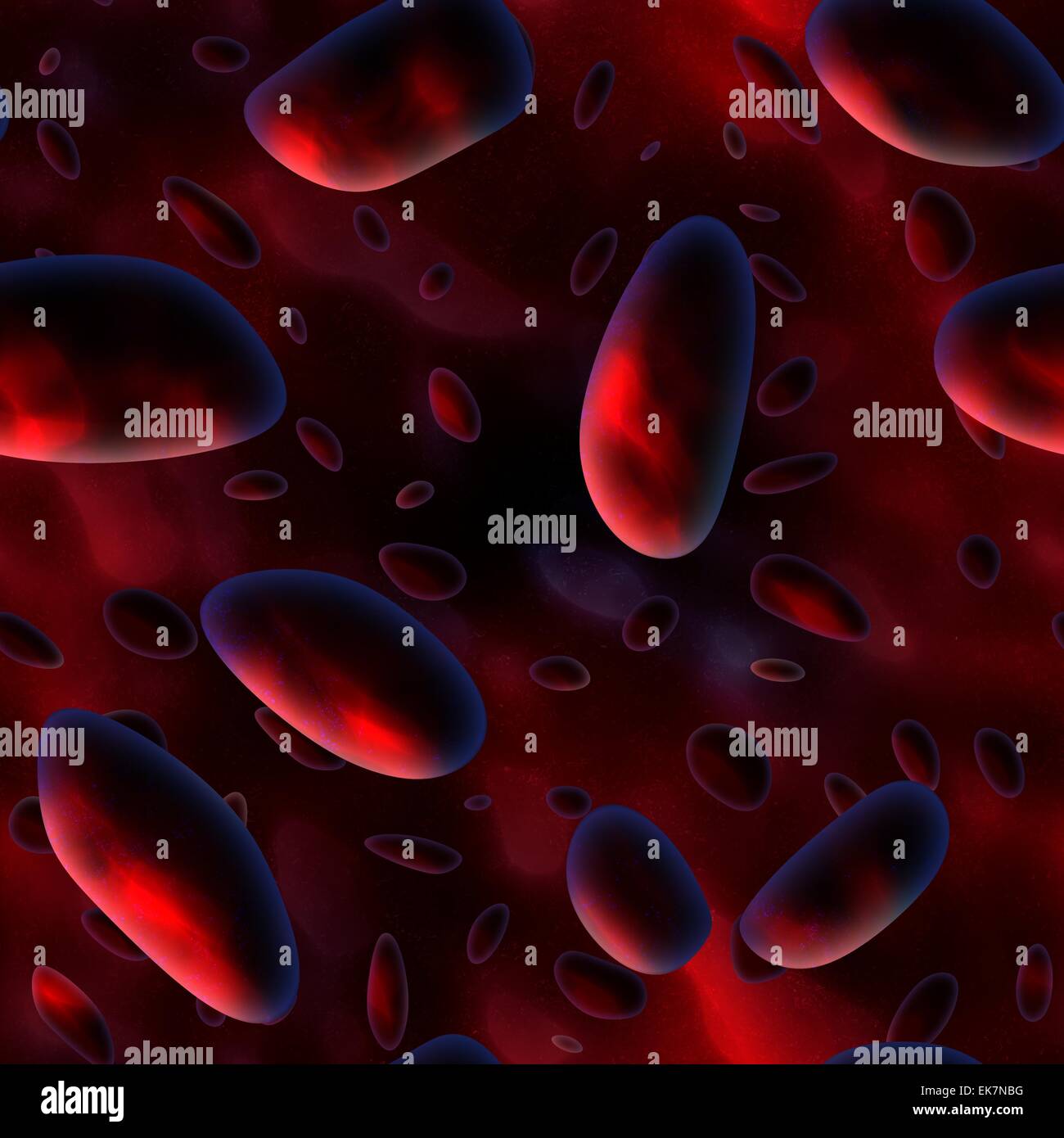 Red Blood Cells Stock Photo - Alamy