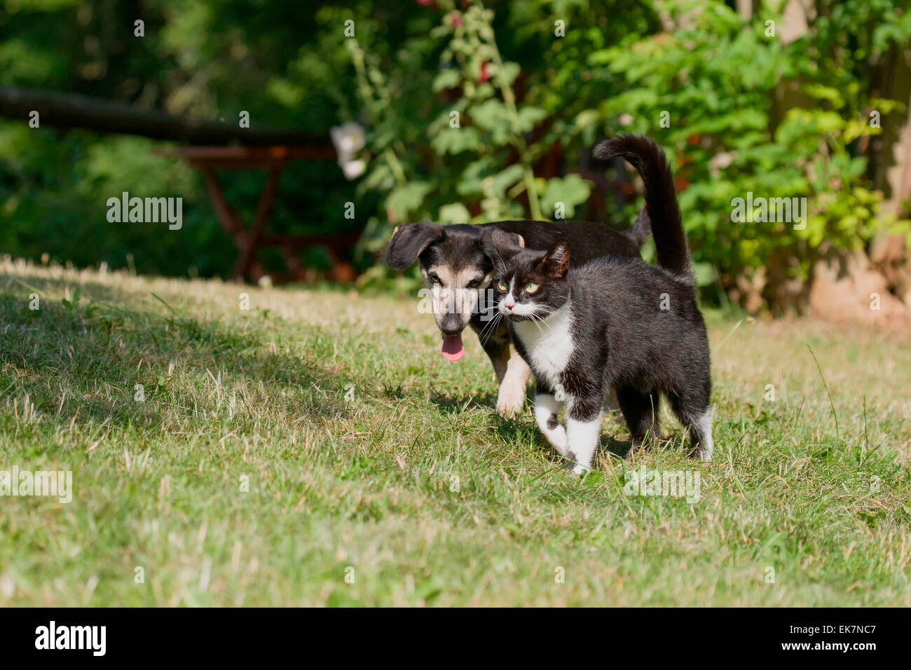 G russell hi-res stock photography and images - Alamy