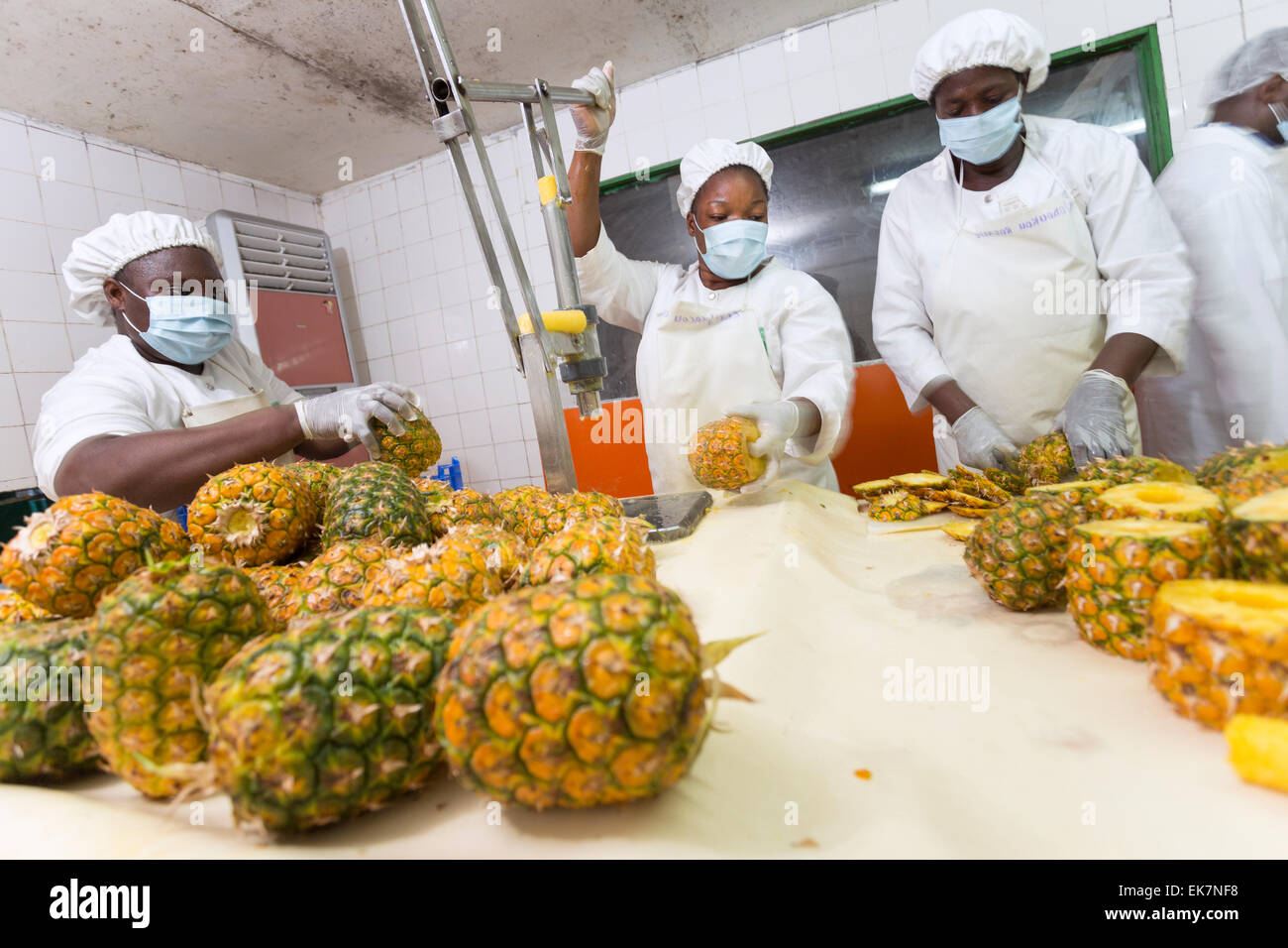 Fruit processing hi-res stock photography and images - Alamy
