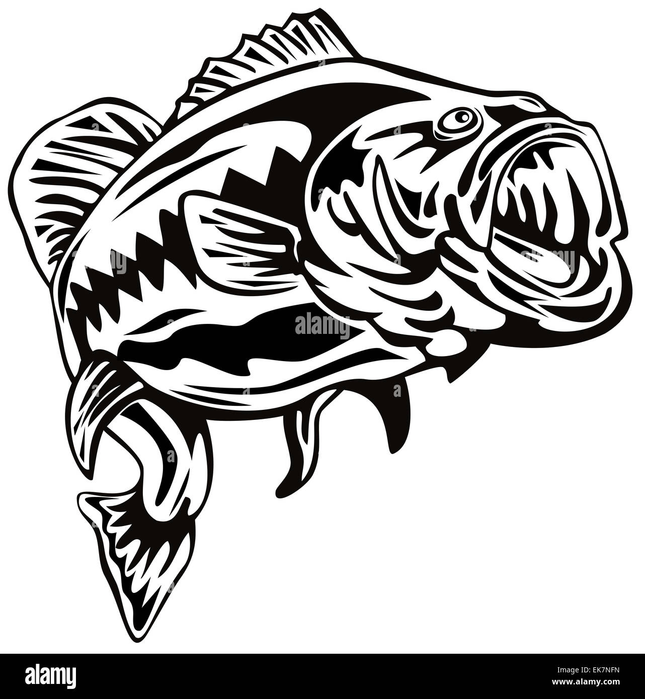 Largemouth bass jumping hi-res stock photography and images - Alamy