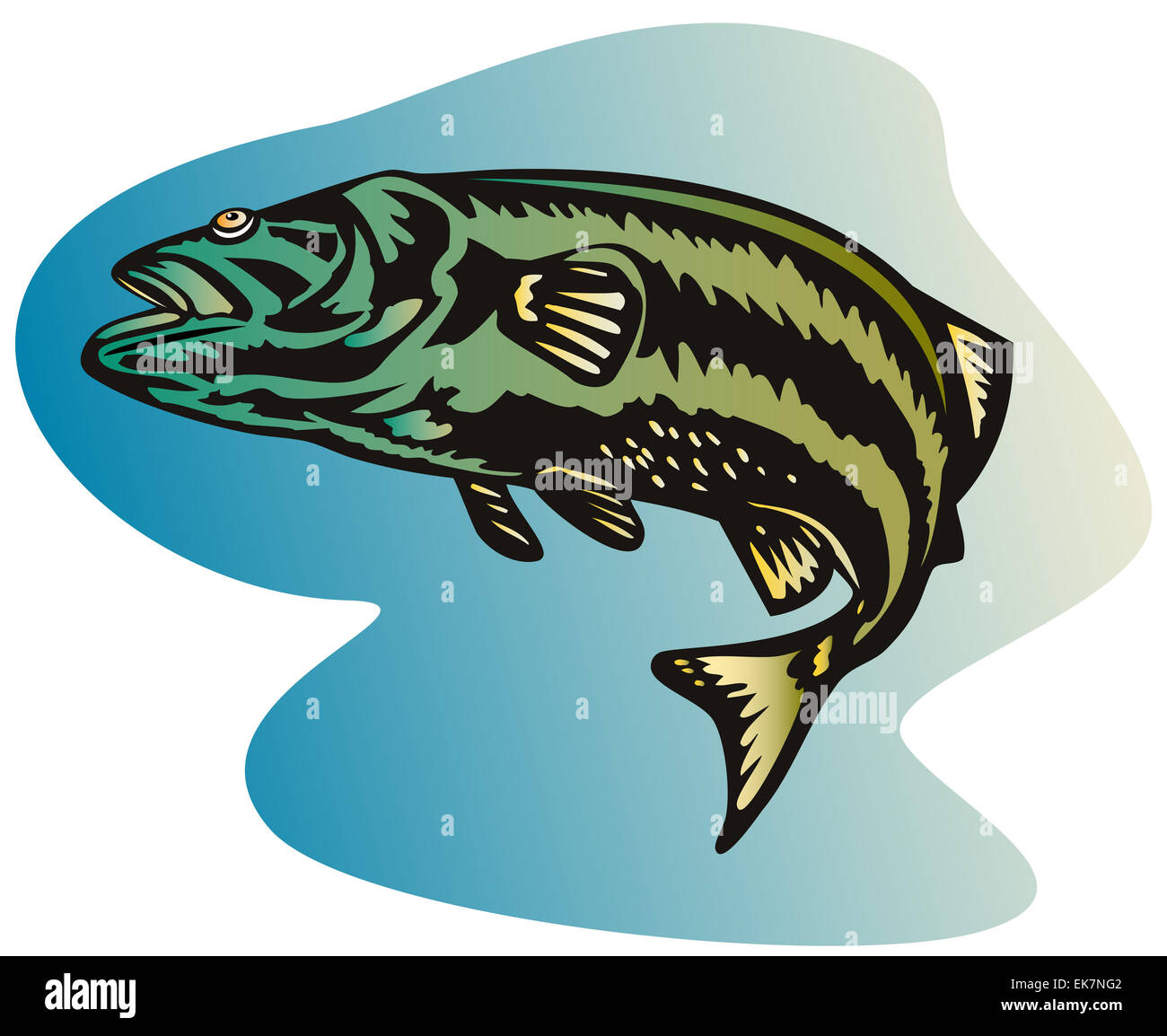 largemouth bass jumping Stock Photo - Alamy