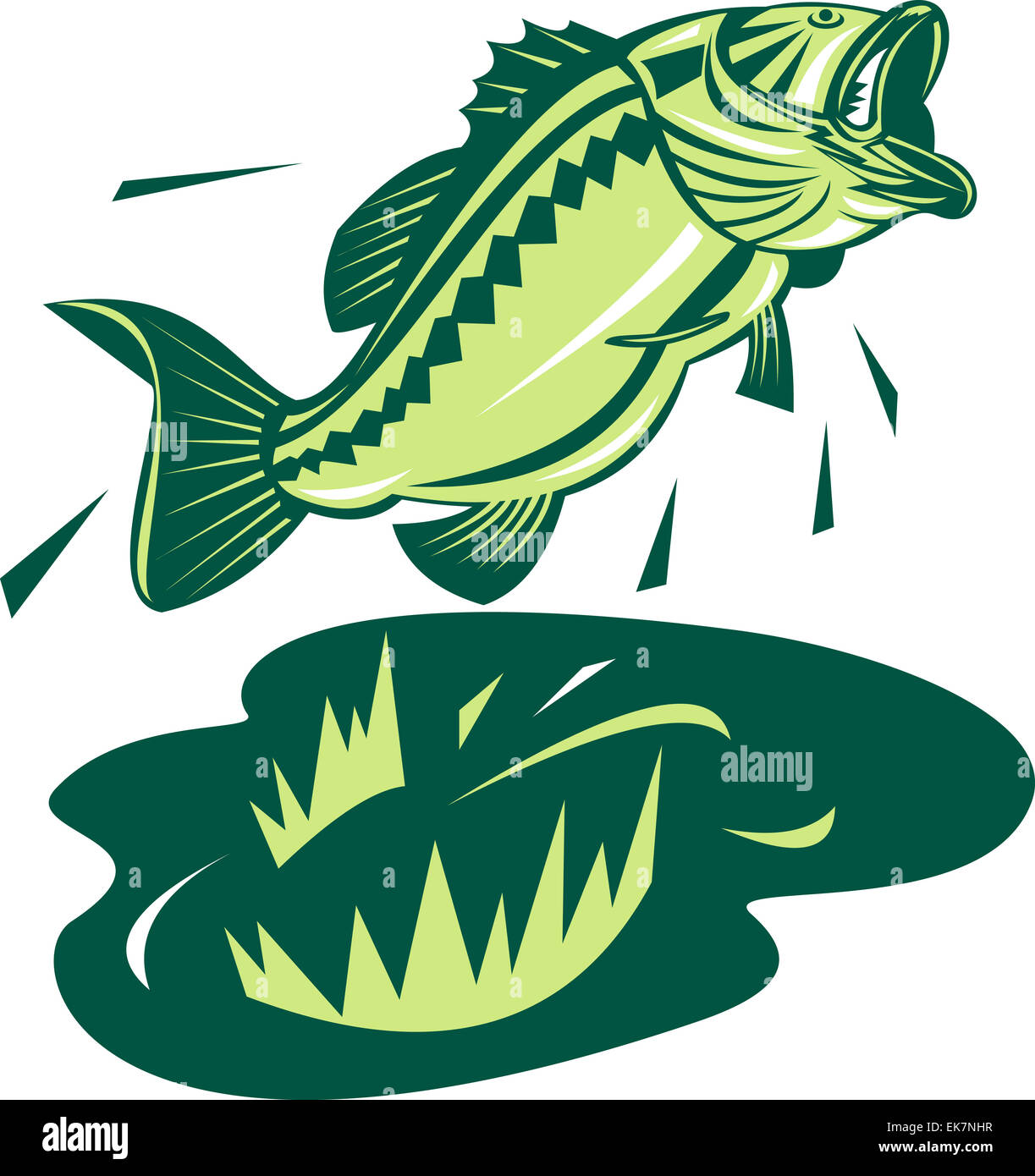 largemouth bass jumping Stock Photo - Alamy