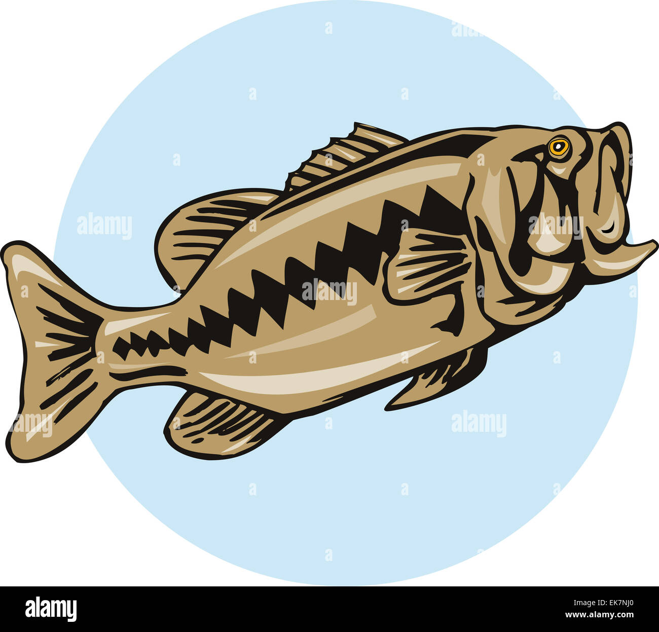 largemouth bass jumping Stock Photo - Alamy