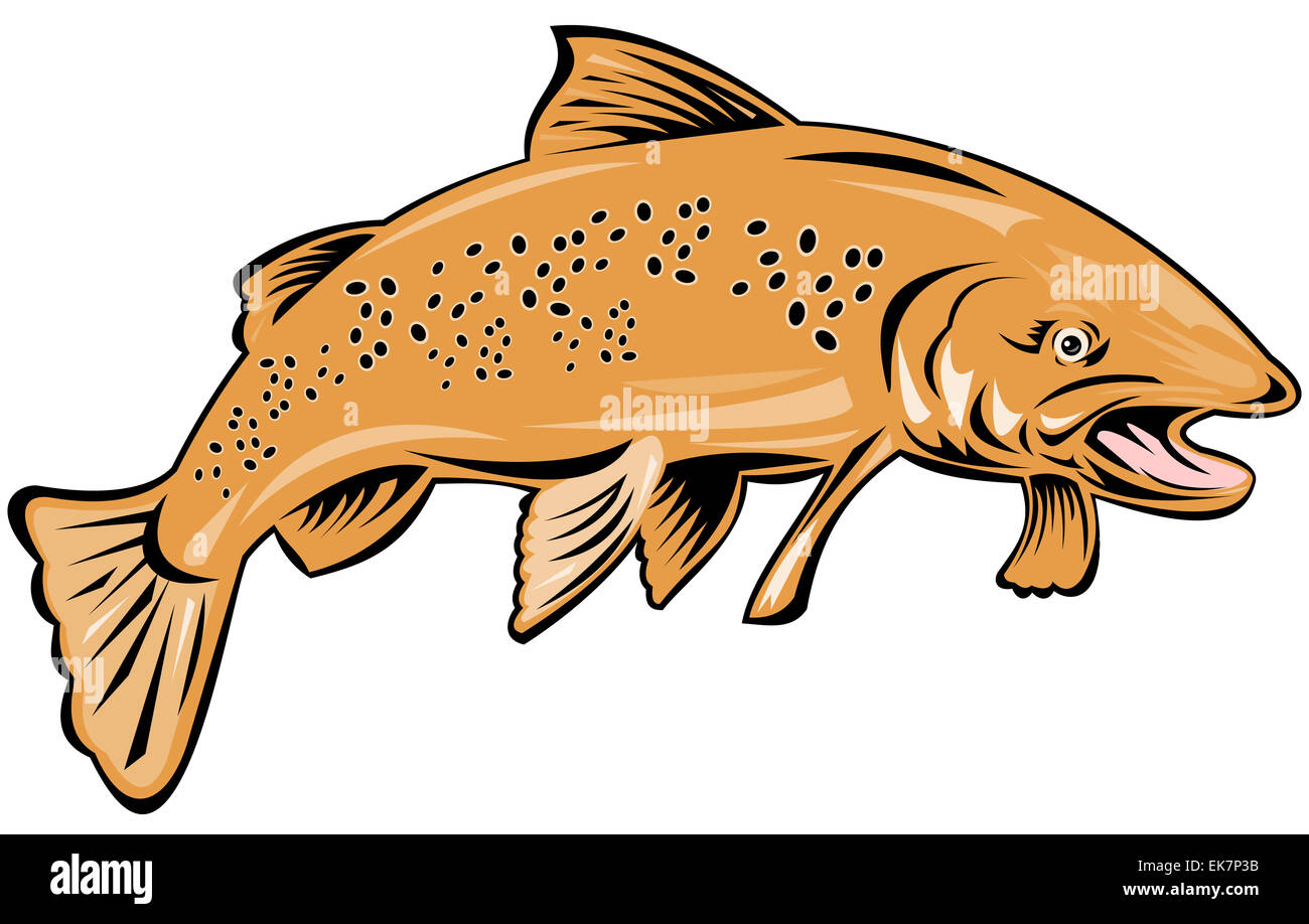 trout fish jumping Stock Photo - Alamy