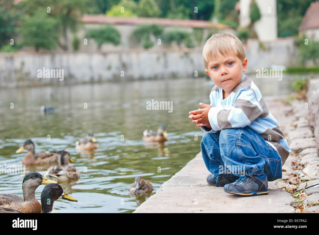 Cute little boy feeding ducks Stock Photo - Alamy Cute little boy feeding ducks Stock Photo - Alamy