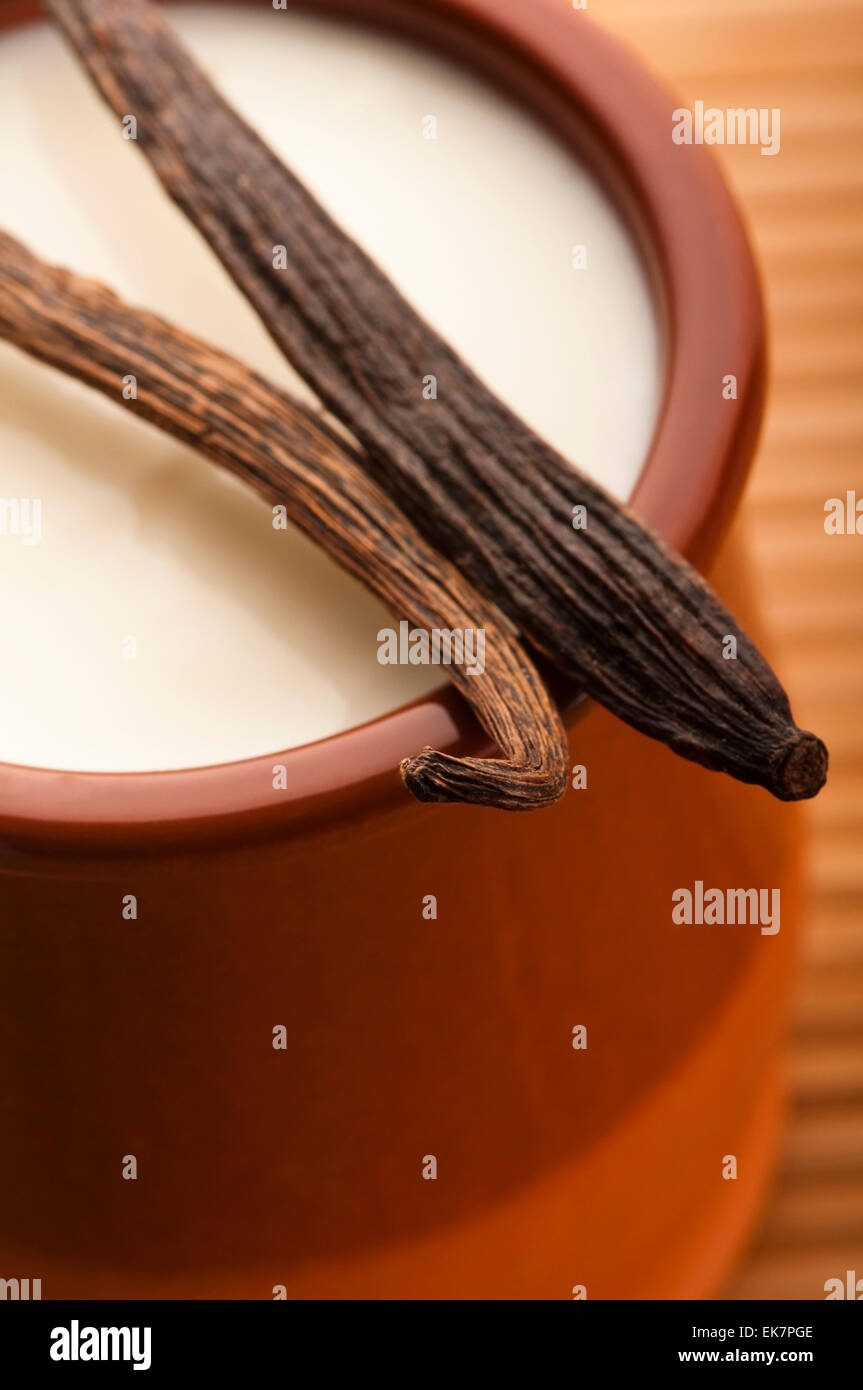 Sweet vanilla pudding dessert Stock Photo - Alamy