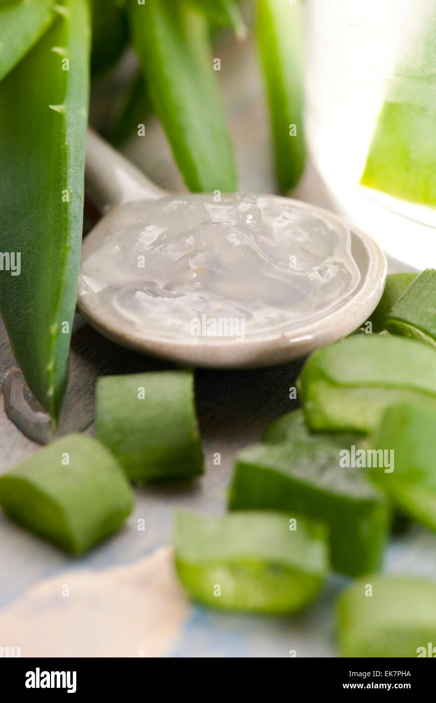 aloe vera juice with fresh leaves Stock Photo - Alamy