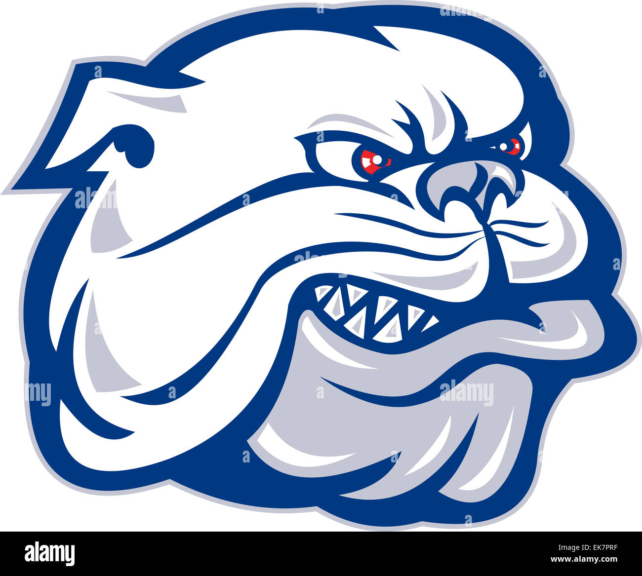 bulldog head facing side Stock Photo - Alamy