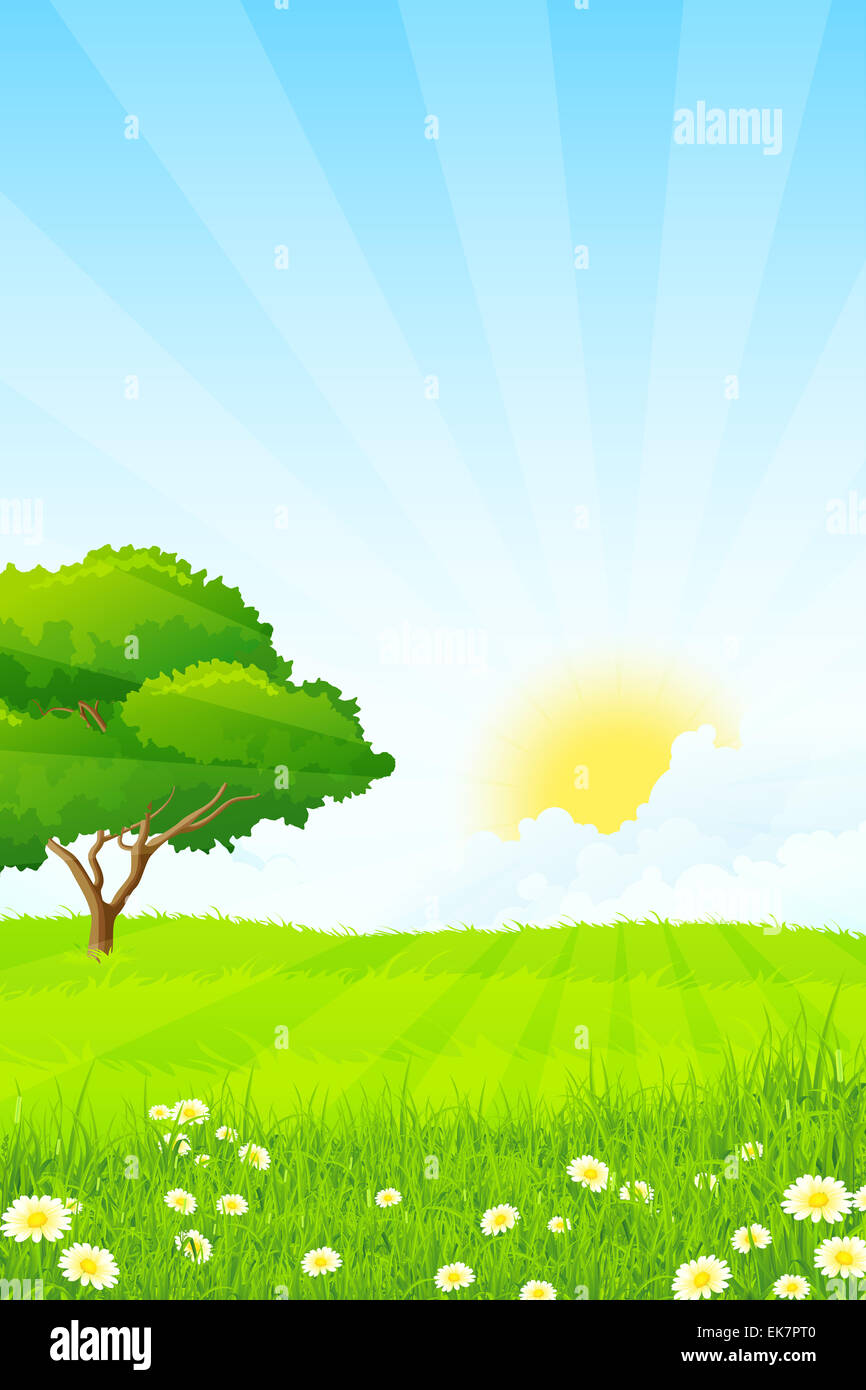 Green Grass with Tree, Sun, Clouds and Rays Stock Photo - Alamy