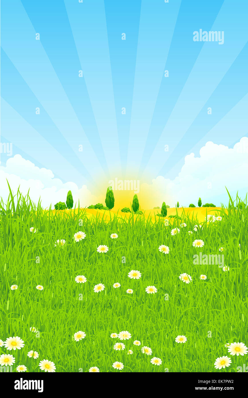 Green Landscape with trees clouds flowers and Sun Stock Photo - Alamy