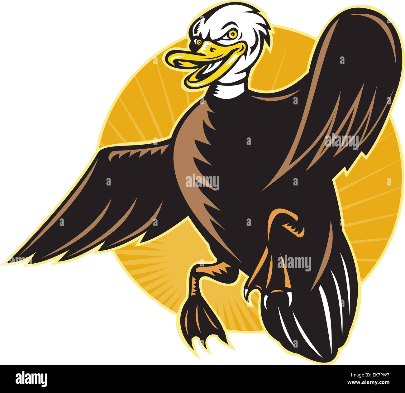 angry mallard duck flying front Stock Photo - Alamy