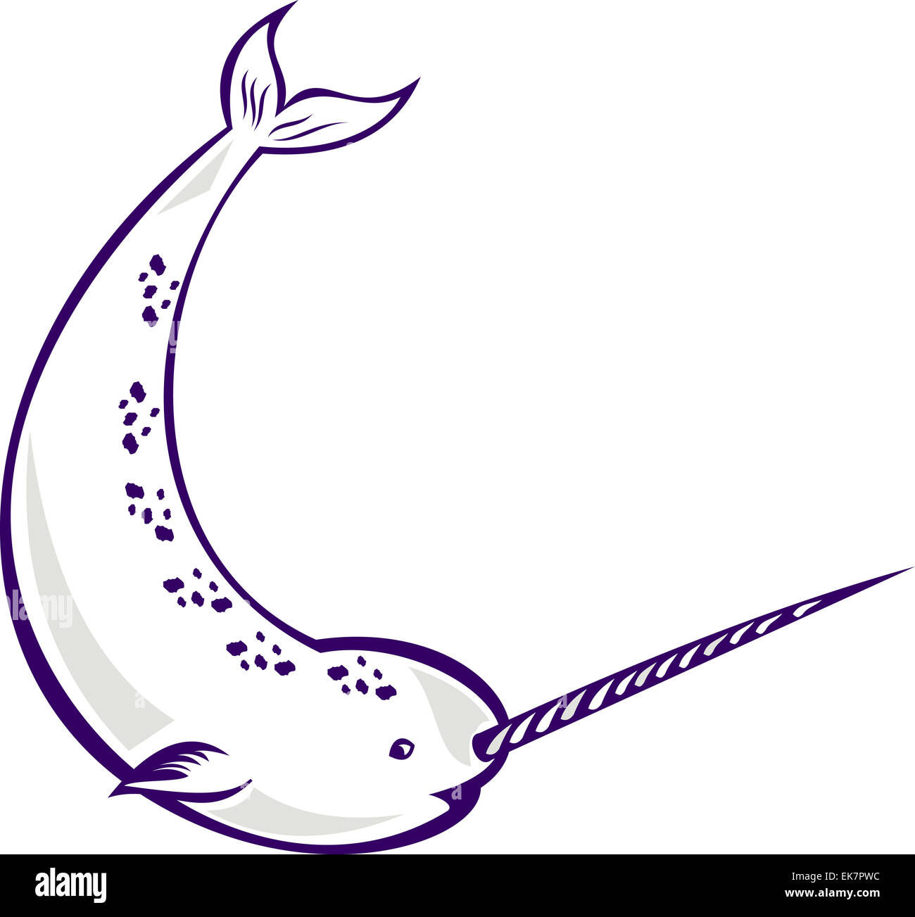 Narwhal Monodon monoceros unicorn whale Stock Photo - Alamy