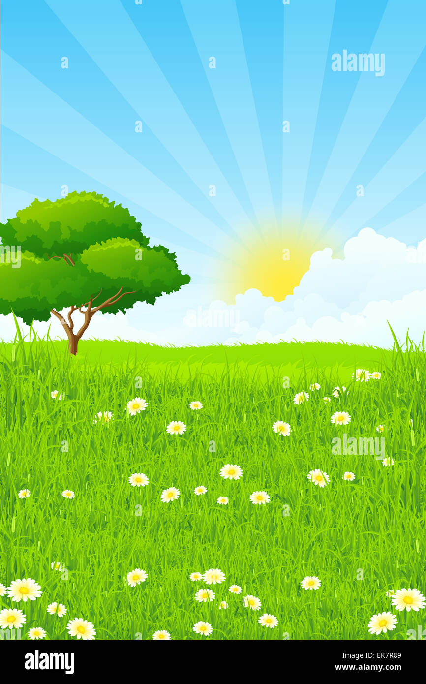 Green Landscape with clouds and sun and one Green Tree Stock Photo - Alamy