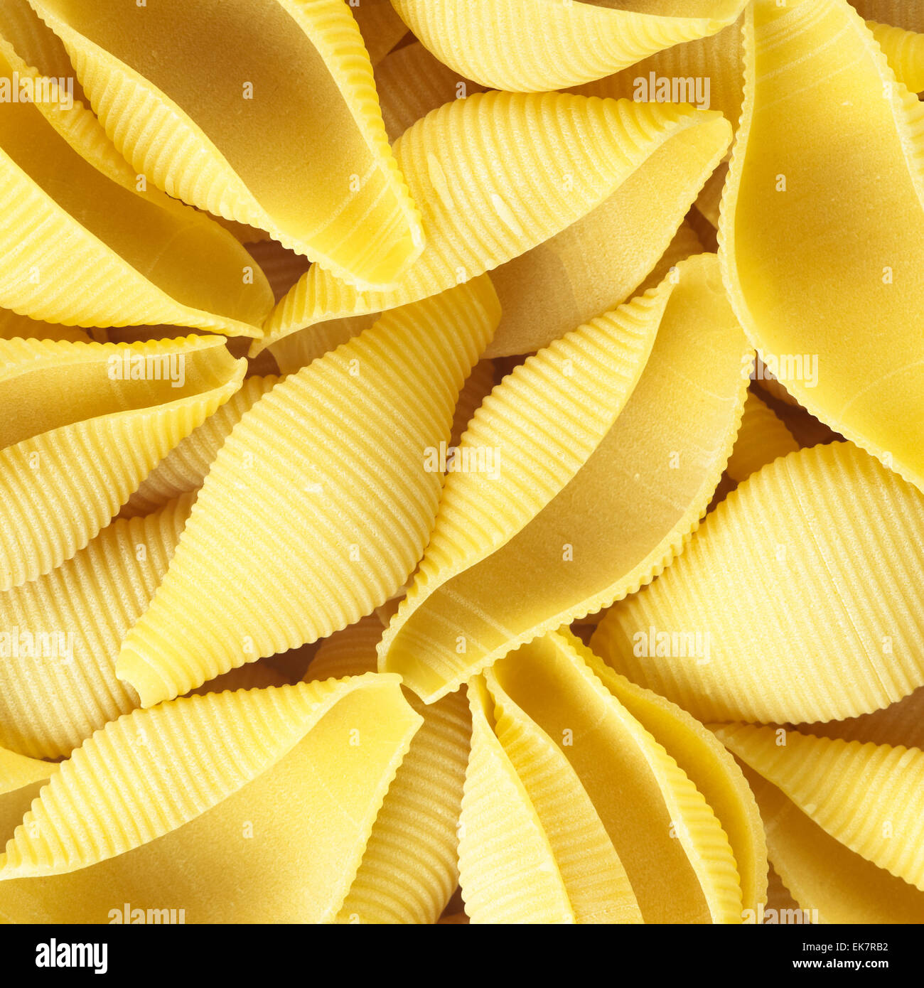 conchiglioni pasta shells Stock Photo - Alamy
