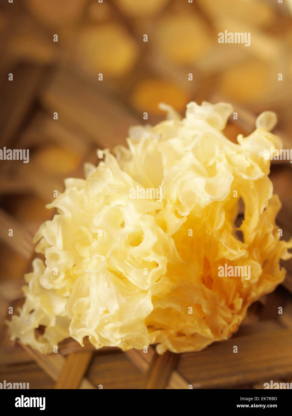 Silver ear fungus tremella fuciformis hi-res stock photography and ...