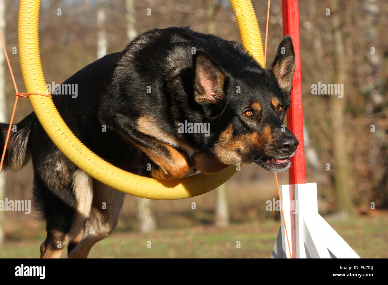 Mjumping hi-res stock photography and images - Alamy